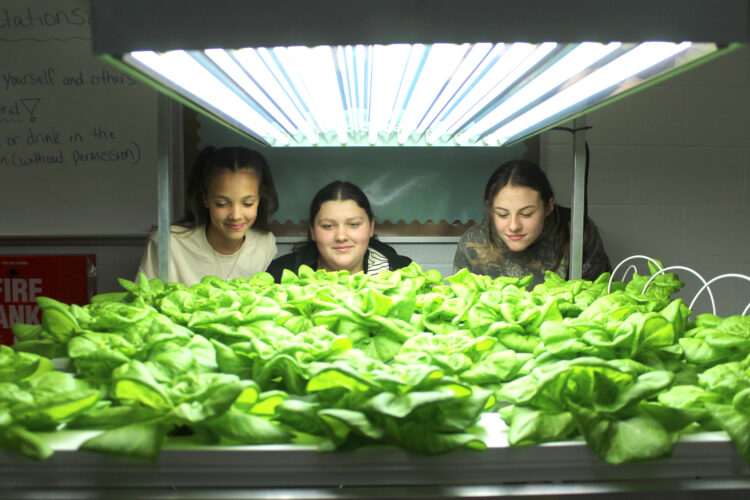 Hydroponics program grows at Southern Local | News, Sports, Jobs - The ...